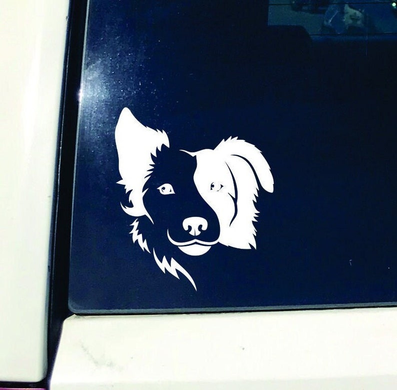 Border Collie Dog Face White Vinyl Decal Car Window Sticker Laptops ...