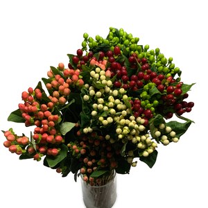 Fresh Cut Assorted Colors Hypericum | Fresh Flowers and Free Delivery ...