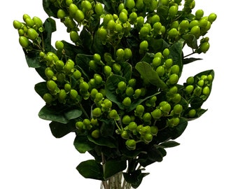 Fresh Cut Assorted Colors Hypericum | Fresh Flowers and Free Delivery ...