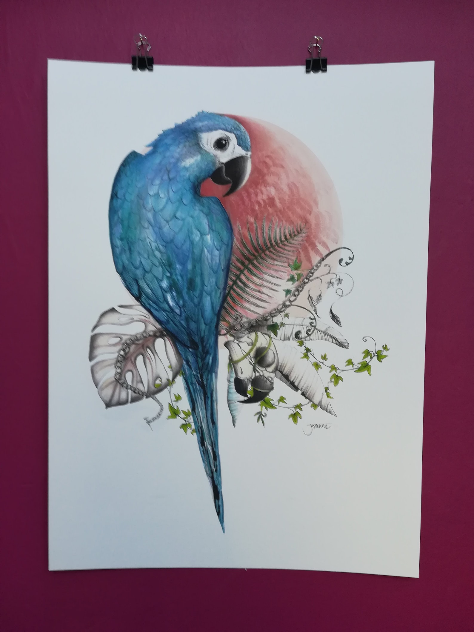 Spix Macaw Giclee Print // Archival Print // Parrot | Etsy