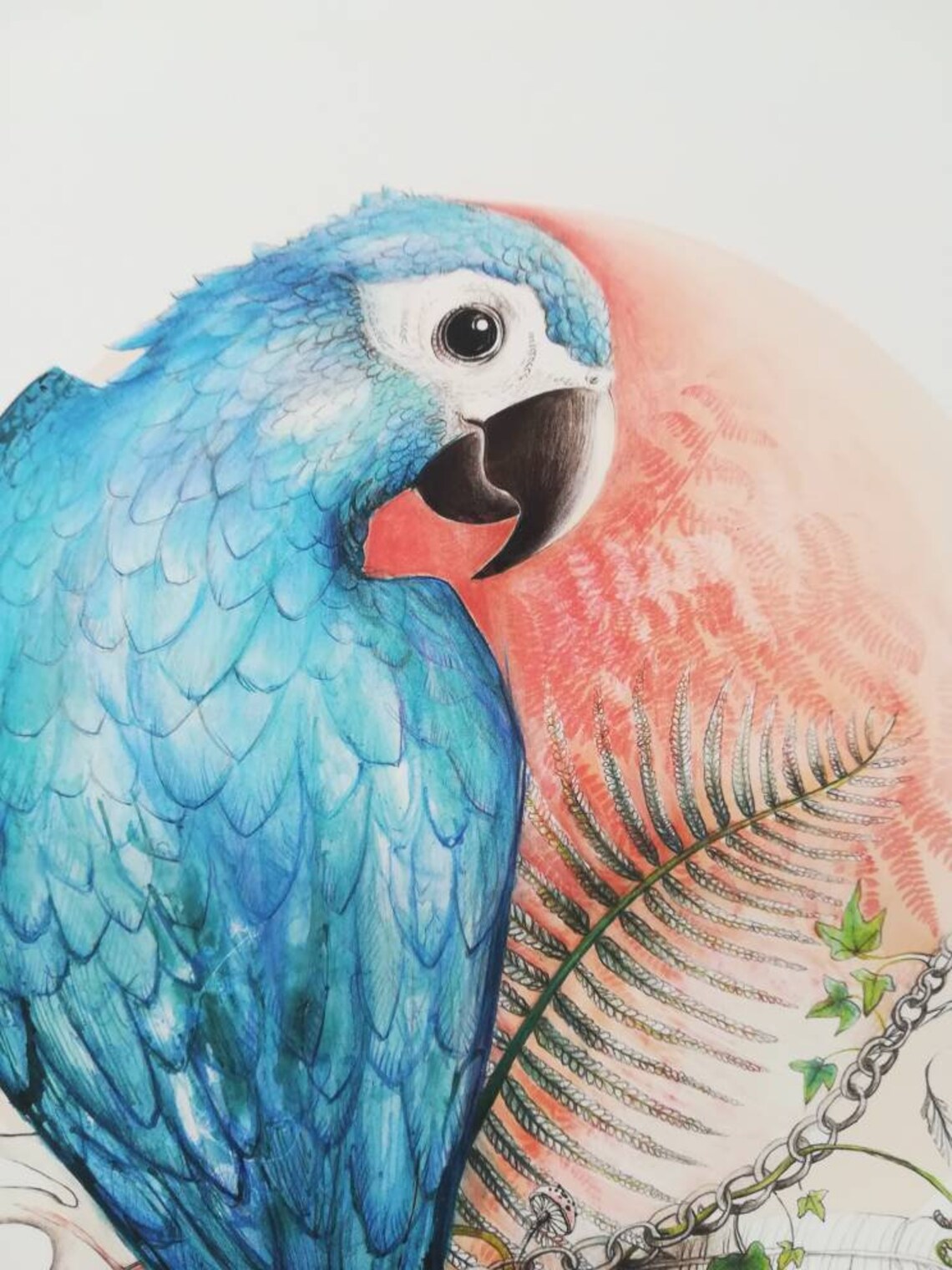 Spix Macaw Giclee Print // Archival print // Parrot | Etsy