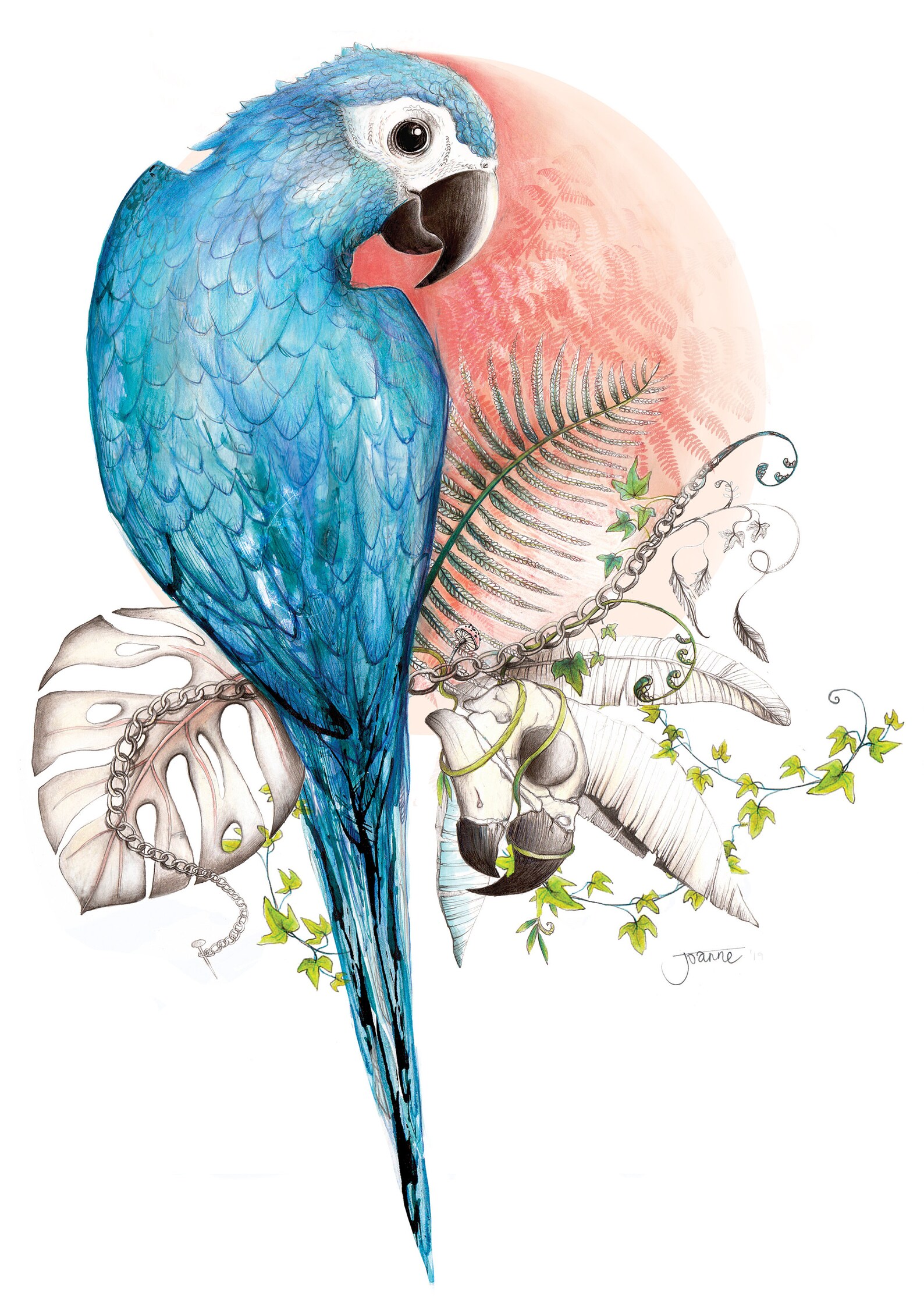 Spix Macaw Giclee Print // Archival print // Parrot | Etsy