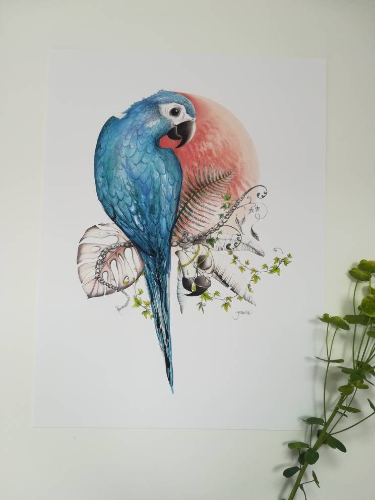 Spix Macaw Giclee Print // Archival print // Parrot | Etsy