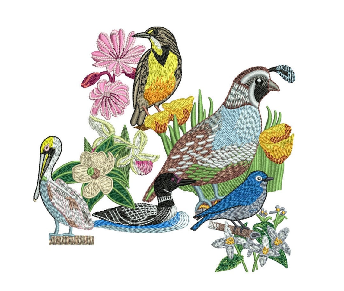 State Birds Flowers Machine Embroidery Designs Pack | All 50 US States ...