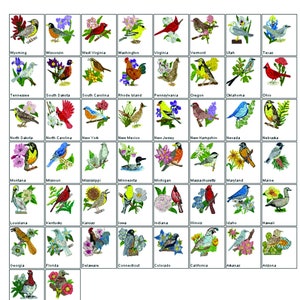 State Birds & Flowers Embroidery Design Value Pack - Etsy