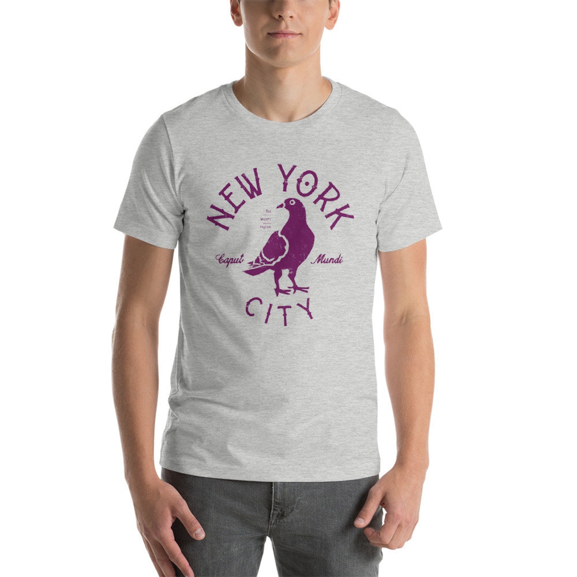 New York City pigeon Retro Premium Unisex T-shirt - Etsy