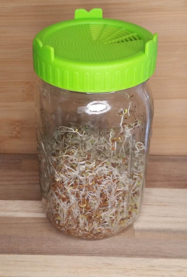 Garden in a Jar comes With Seeds Microgreen Sprouting Lid widemouth ...