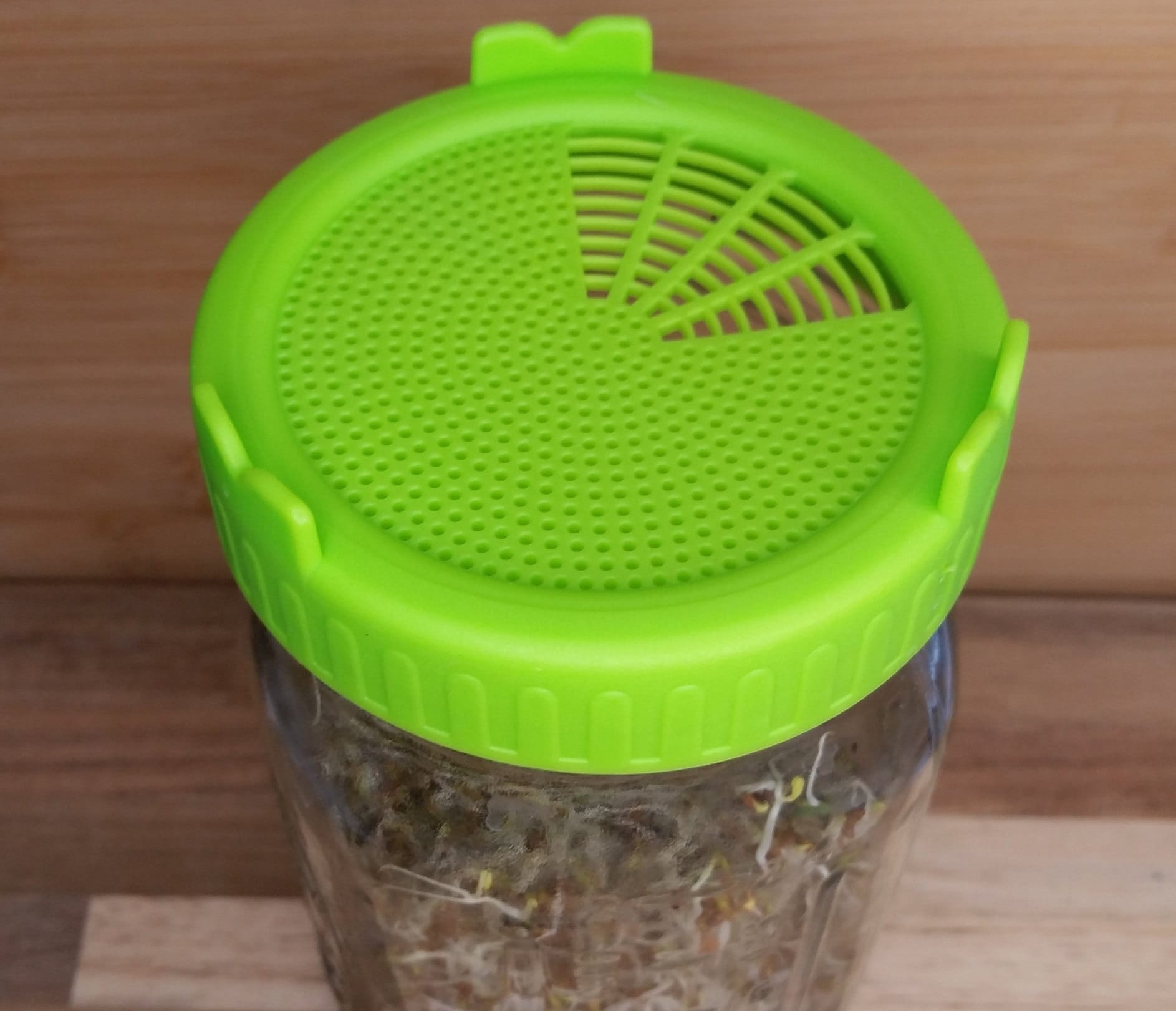 Garden in a Jar (comes With Seeds) Microgreen Sprouting Lid (widemouth ...