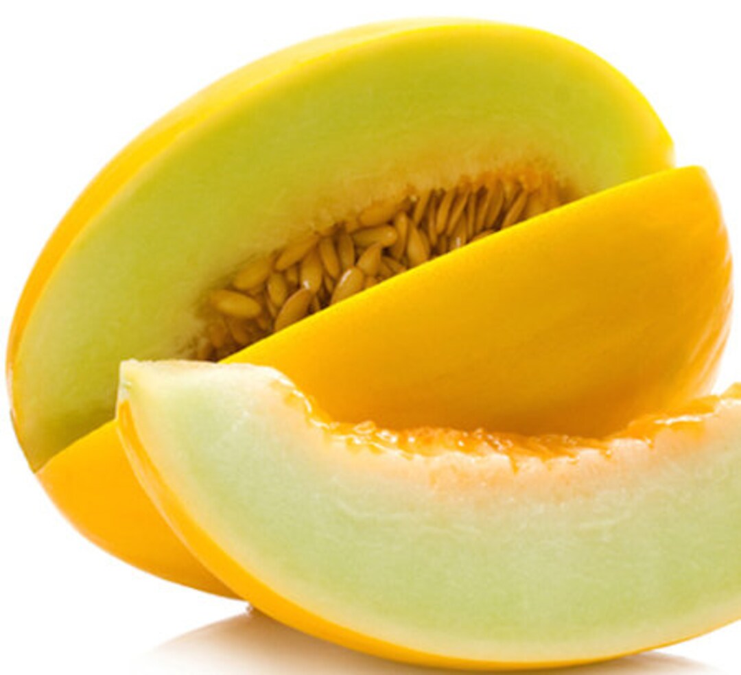 20 Yellow Melon Seeds - Etsy