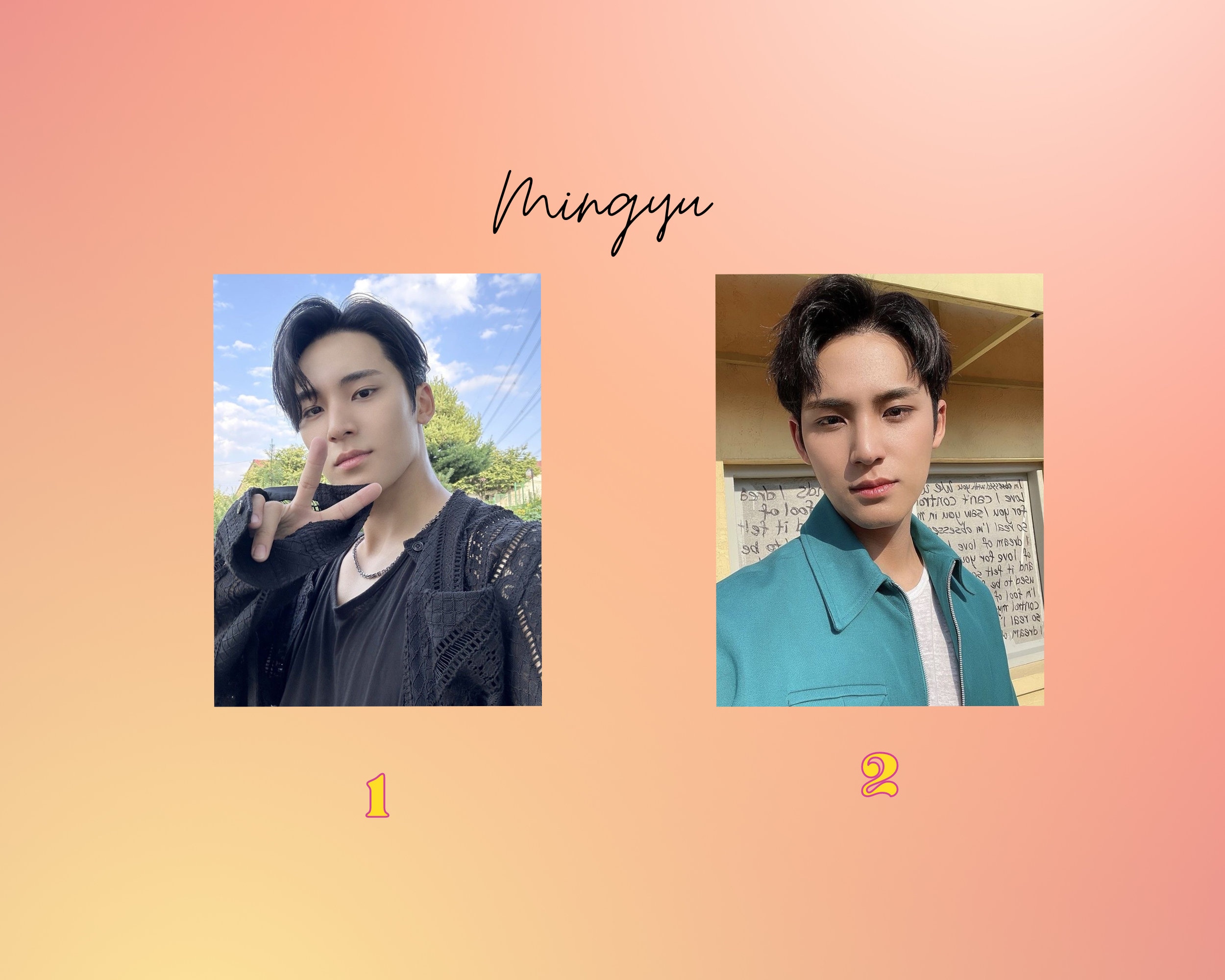 Seventeen Mingyu Photocards/ Mingyu Photo Cards / K-pop Accessories - Etsy