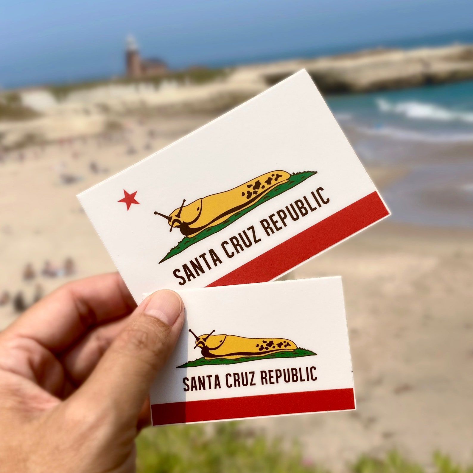 Santa Cruz Republic Banana Slug Vinyl Sticker - Etsy