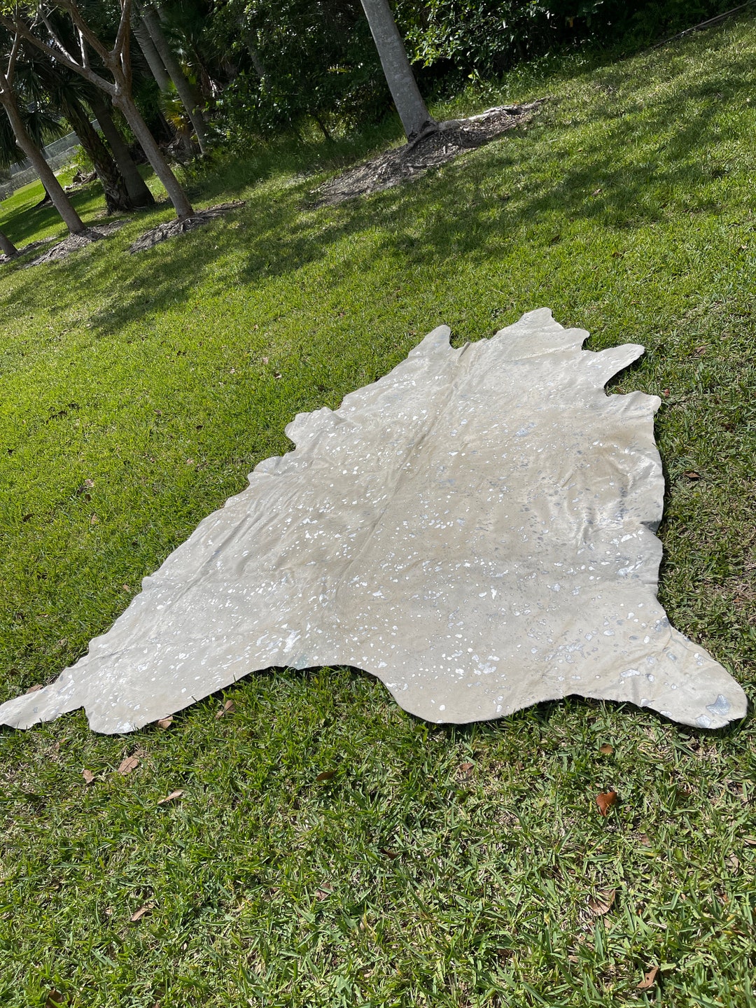 Rug of Cow Skin Large Silver Cow Skin Rug Amazing Gray Cowhide Cow Rug ...