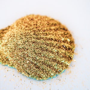 Gold Glitter Sea Shells - Etsy