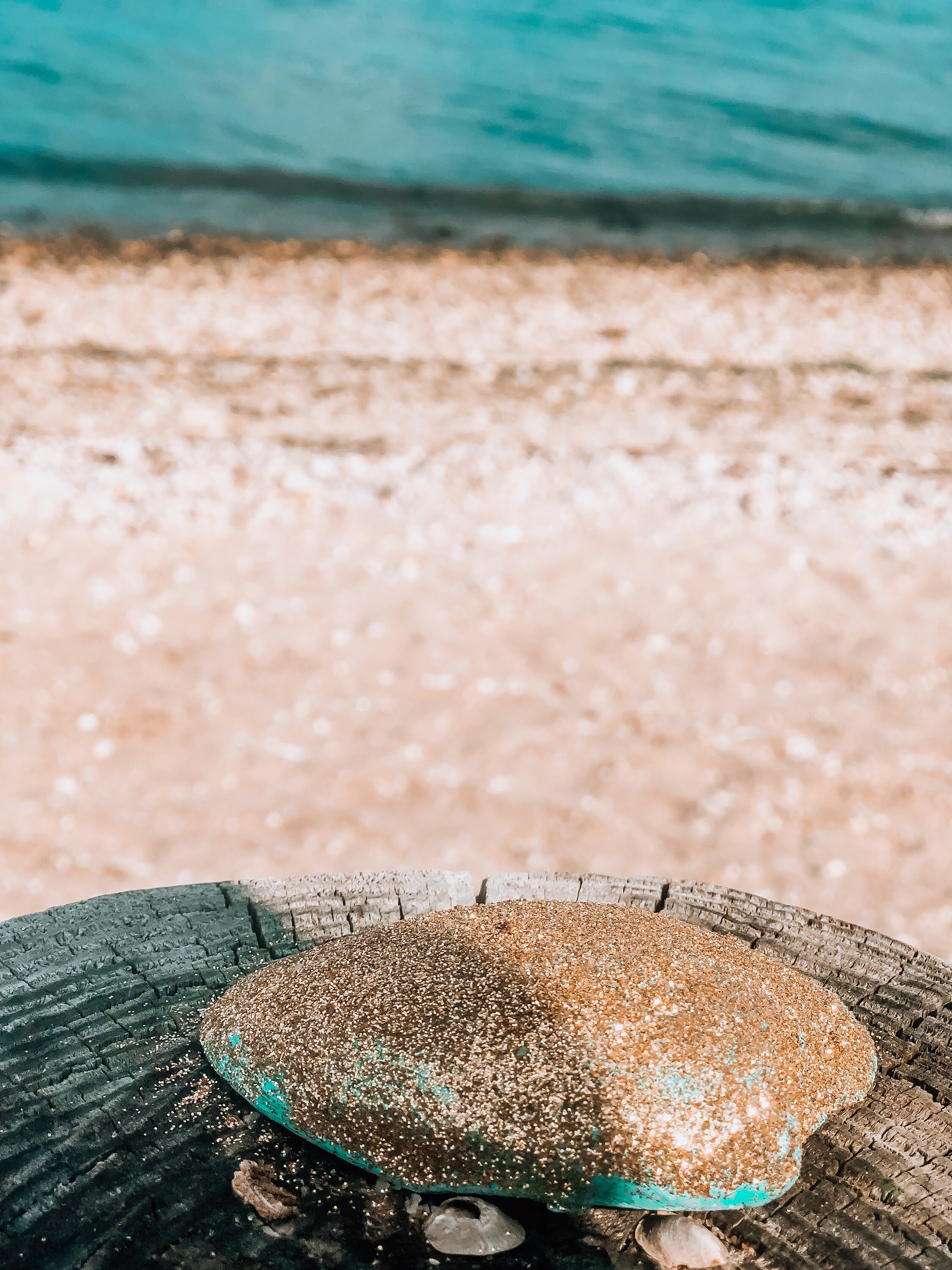 Gold Glitter Sea Shells - Etsy