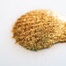 Gold Glitter Sea Shells - Etsy