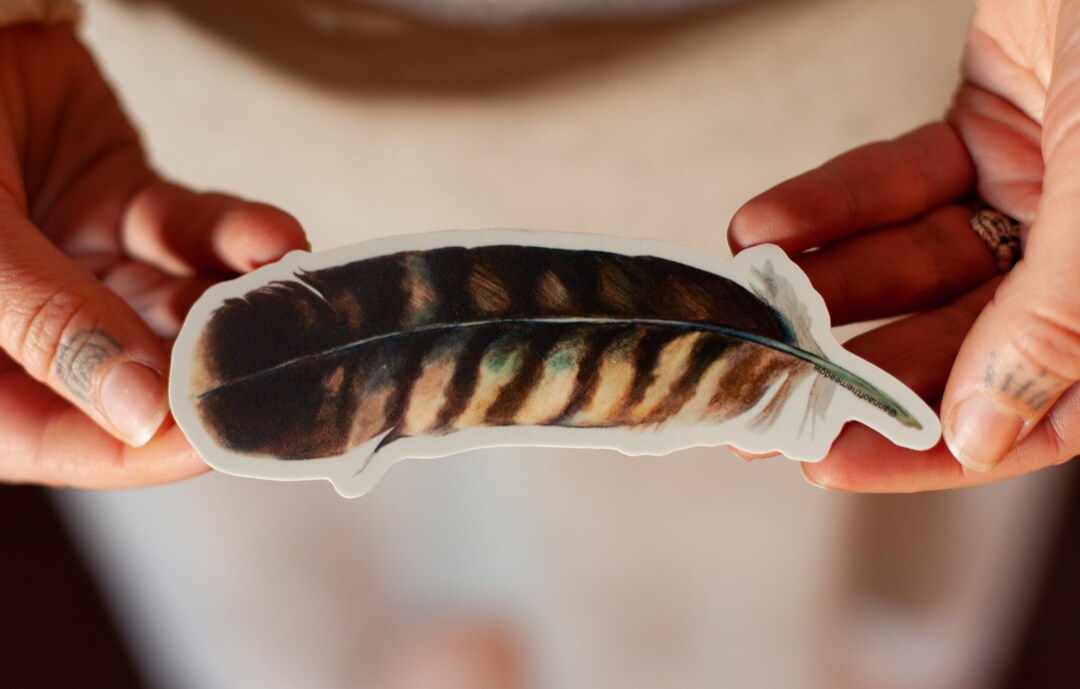 Hawk Wing Feather Vinyl Sticker - Etsy