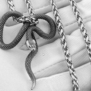 Stainless Steel Snake Pendant Necklace - Unique Serpent Jewelry With ...