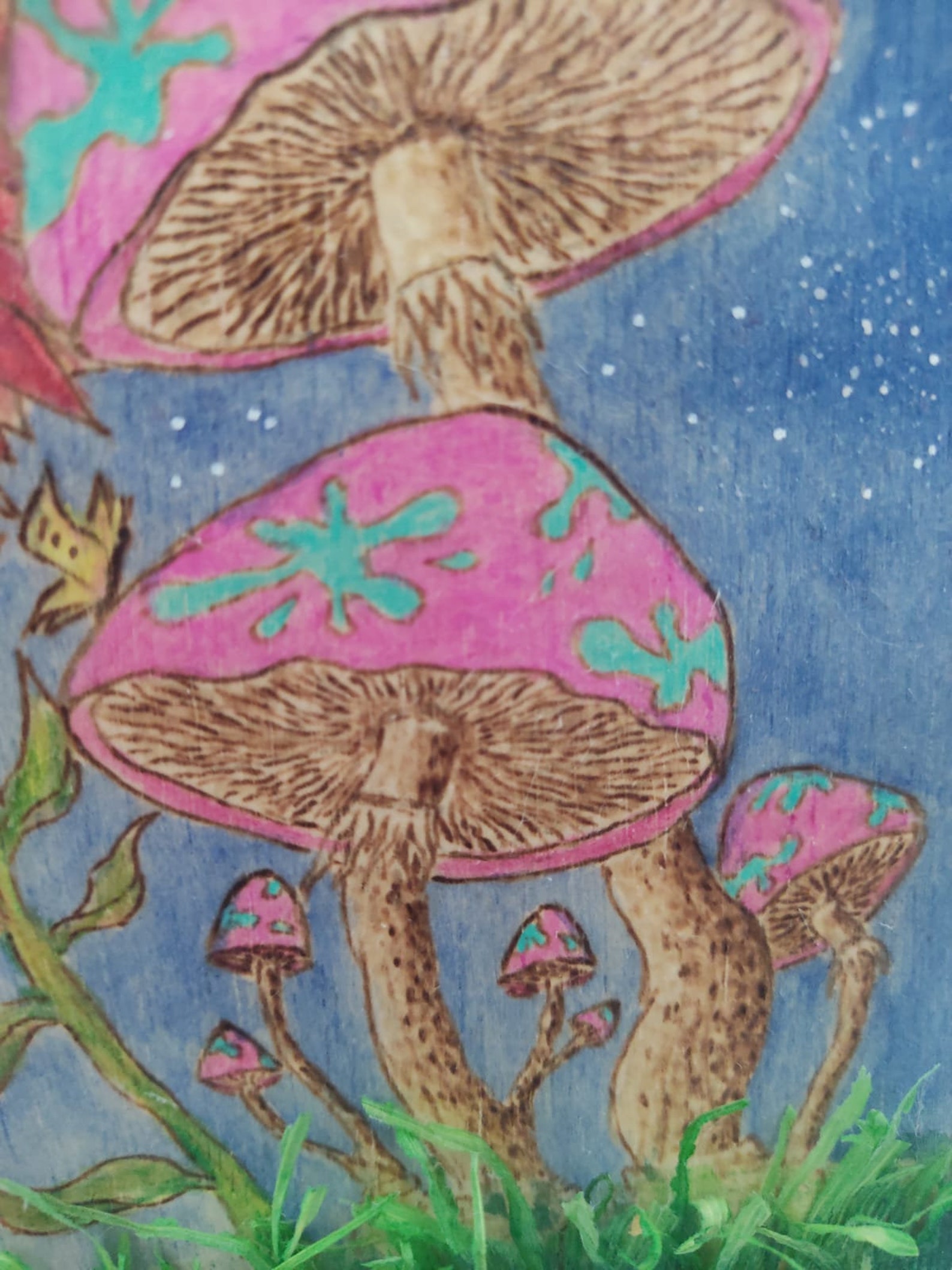 Fairy's Mushroom World - Psychedelic / Art on Wood / Pyrography / Wood ...