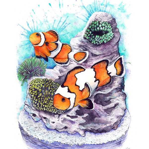 Clownfish Art - Etsy