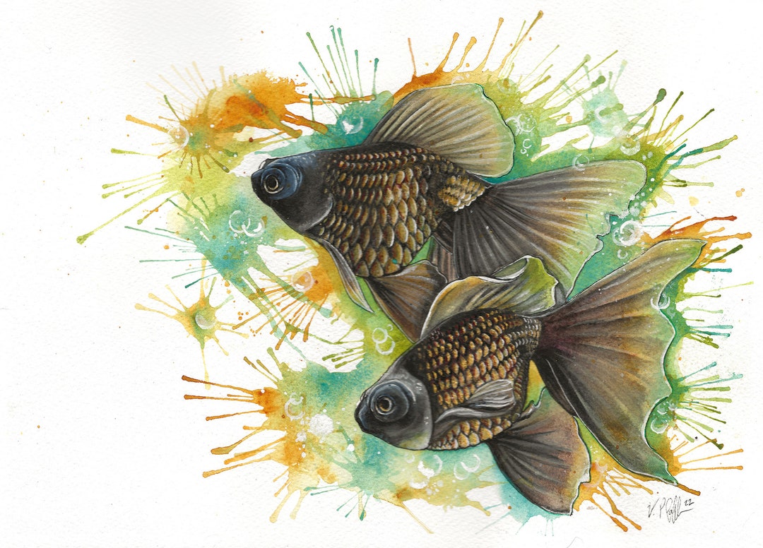 Black Moor Goldfish Watercolor Art Print - Etsy