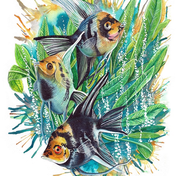Angelfish Wall Art - Etsy