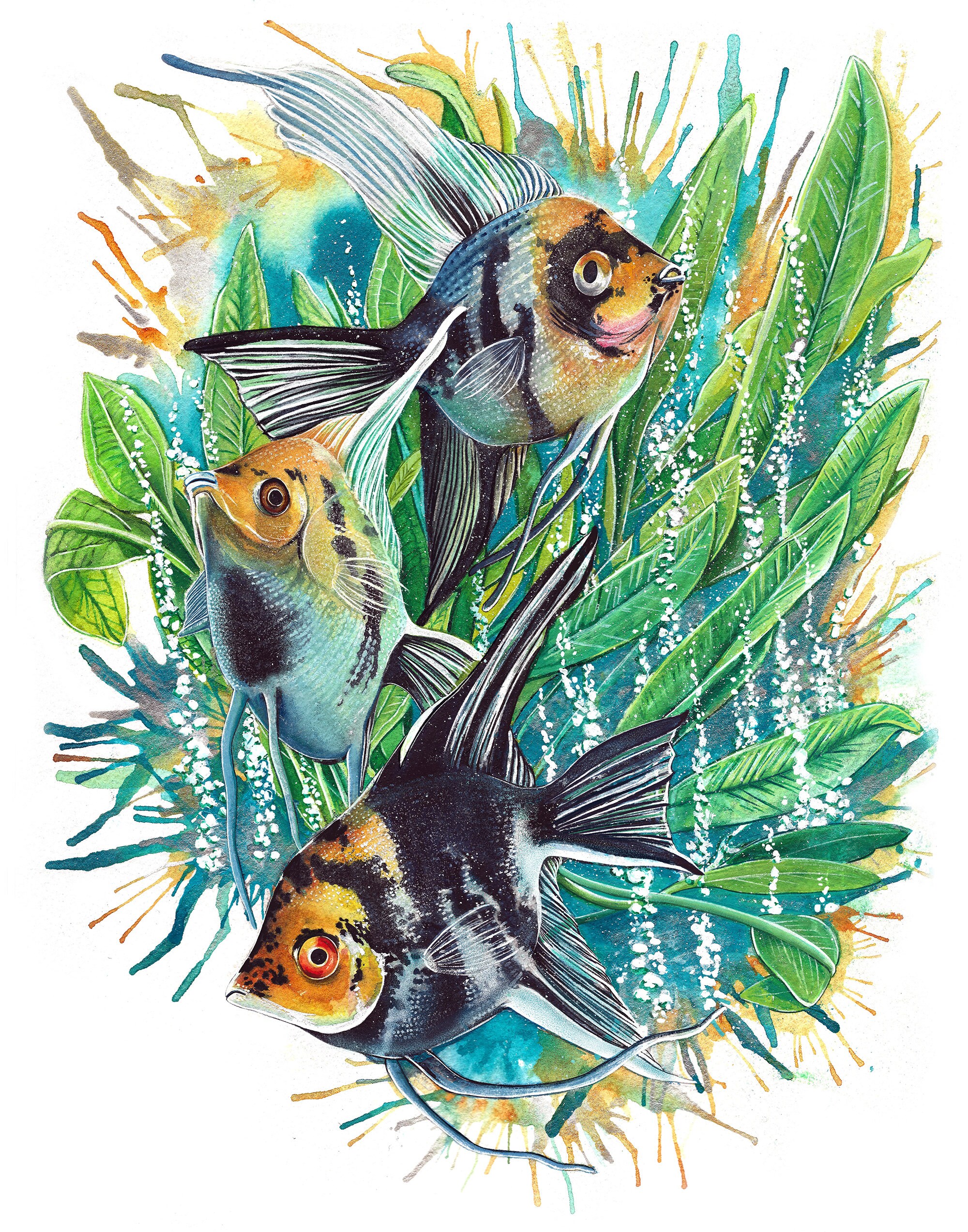 Watercolor Angel Fish