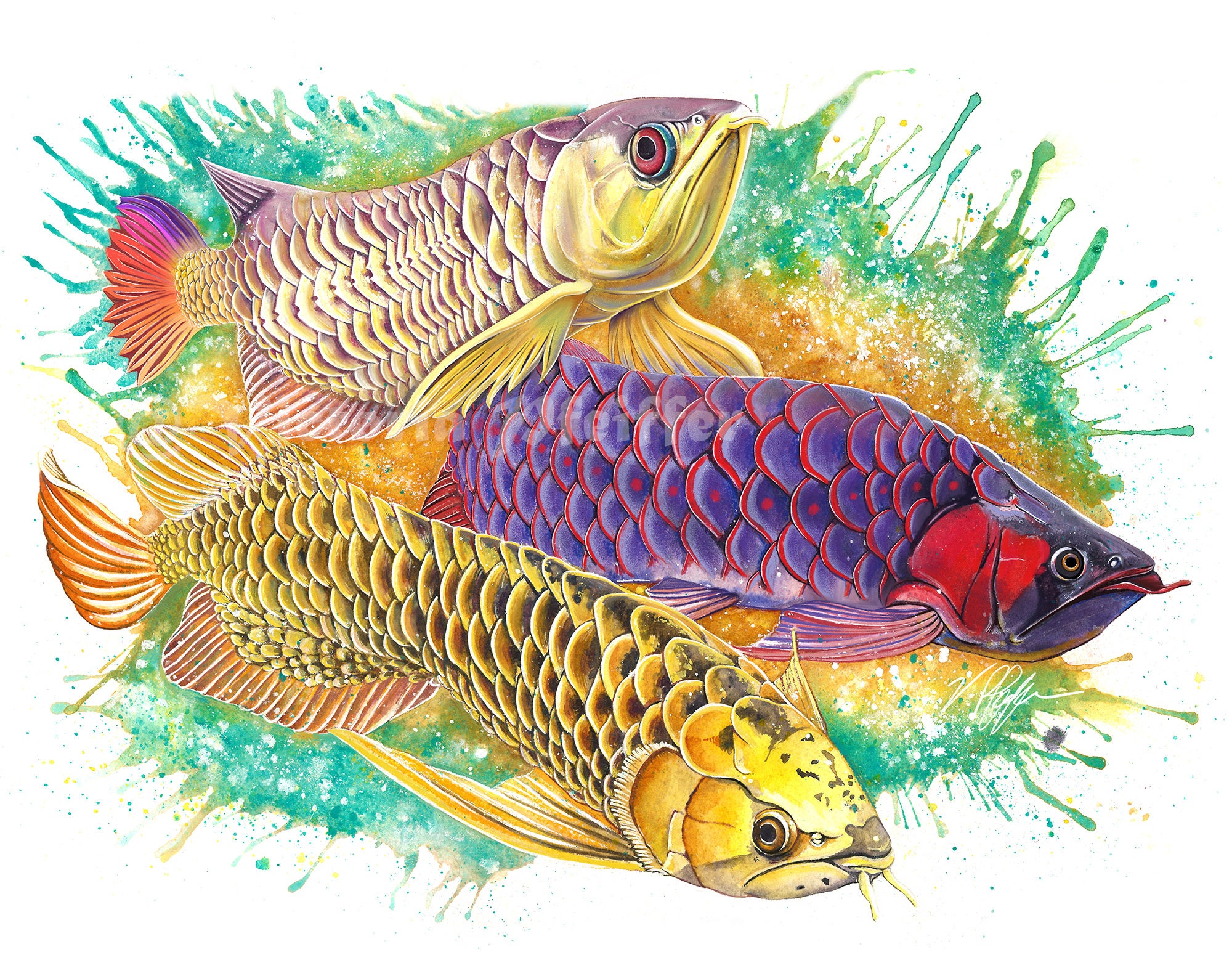 Asian Arowana Original Watercolor Art Print - Etsy