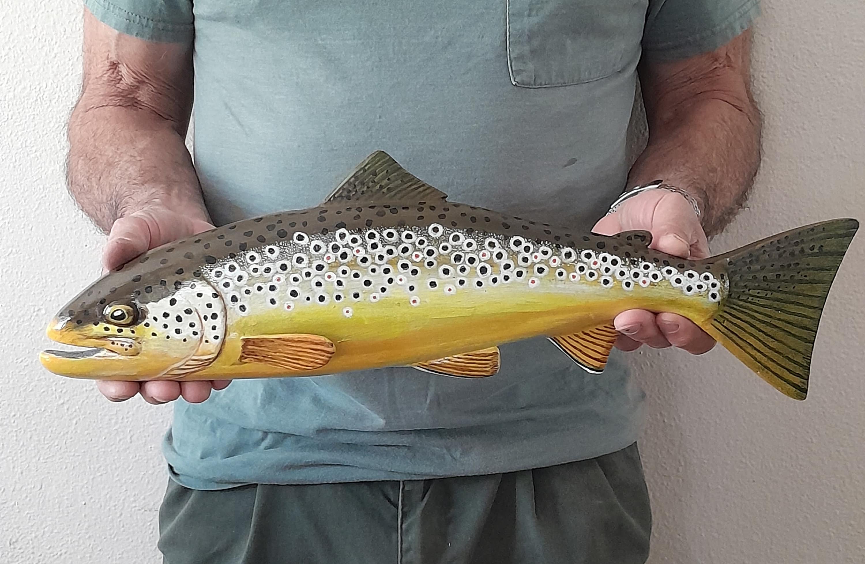 Brown Trout Wall Art 3D - Etsy