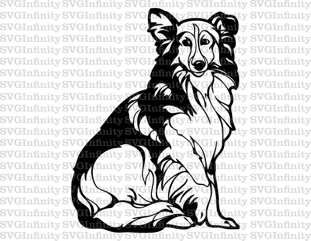 Border Collie SVG, Funny Collie SVG, Charming Collie SVG, Cute Collie ...