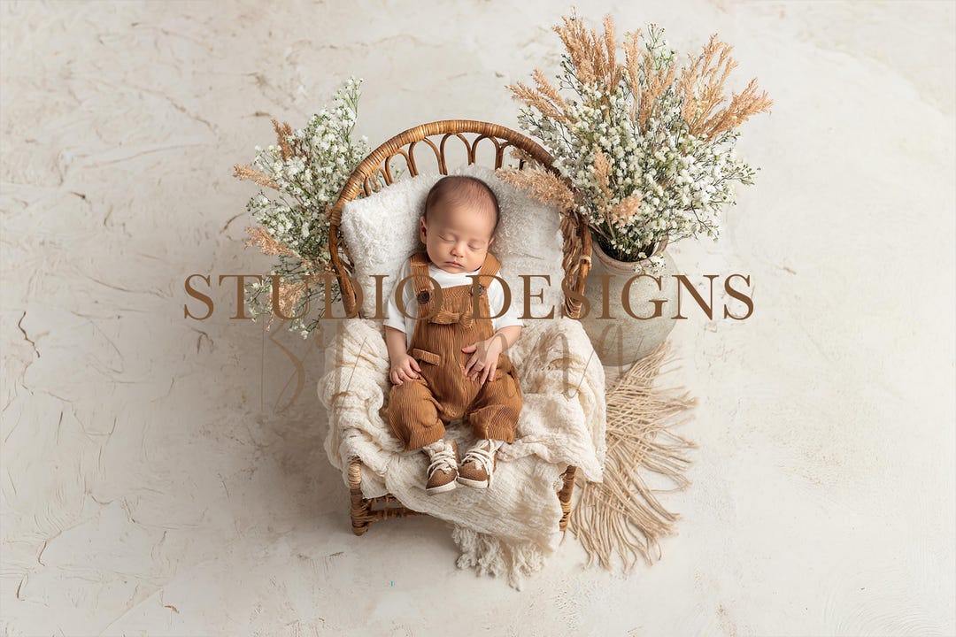 Digital Backdrop Newborn Neutral Basket, Photo Prop Nest, Newborn ...