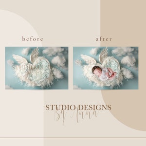 Digital Backdrop Newborn White Wings Floral Basket, Sky Digital Prop ...