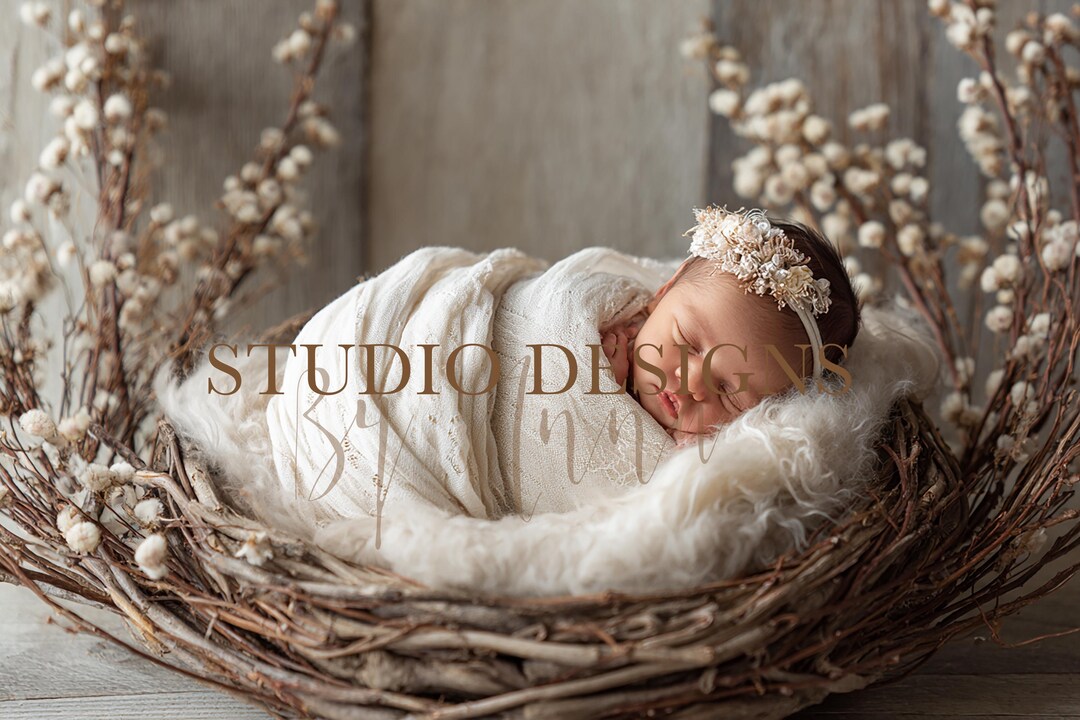 Digital Backdrop Newborn Boho, Baby Photo Prop Composite, Neutral ...
