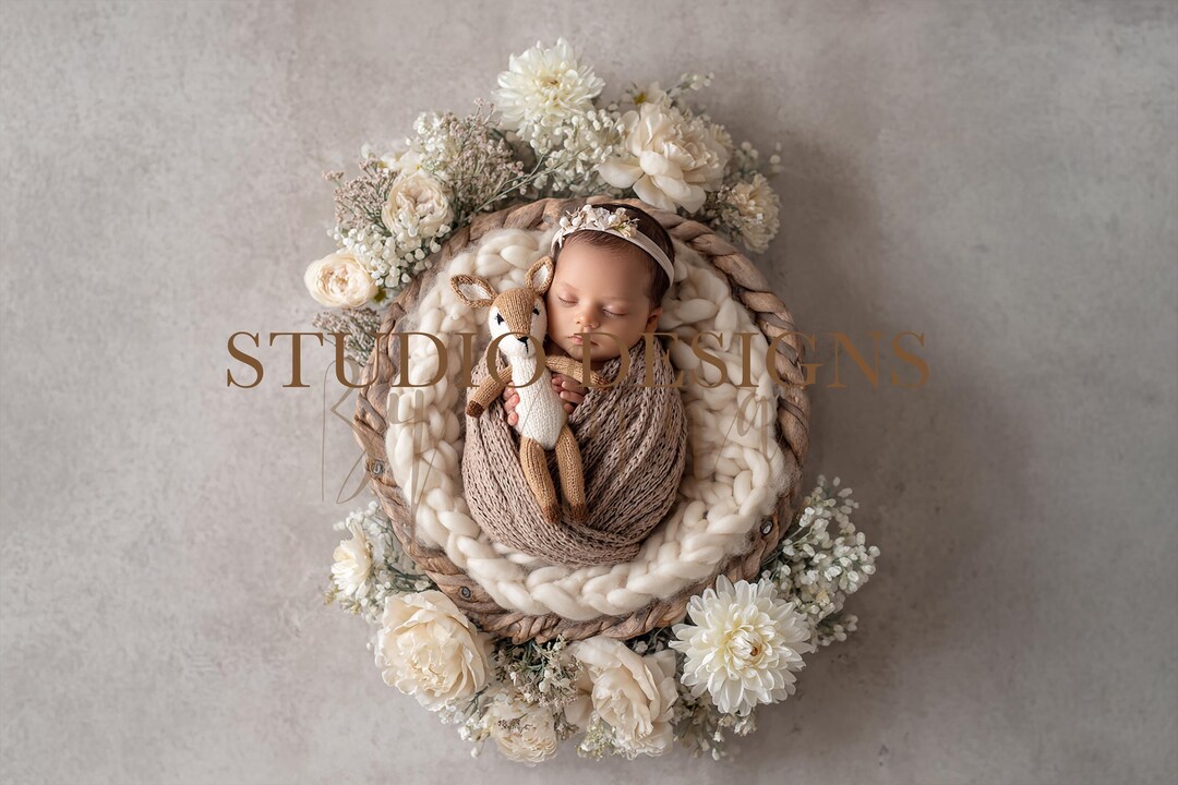 Digital Backdrop Newborn Neutral Basket, Photo Prop Nest, Newborn ...