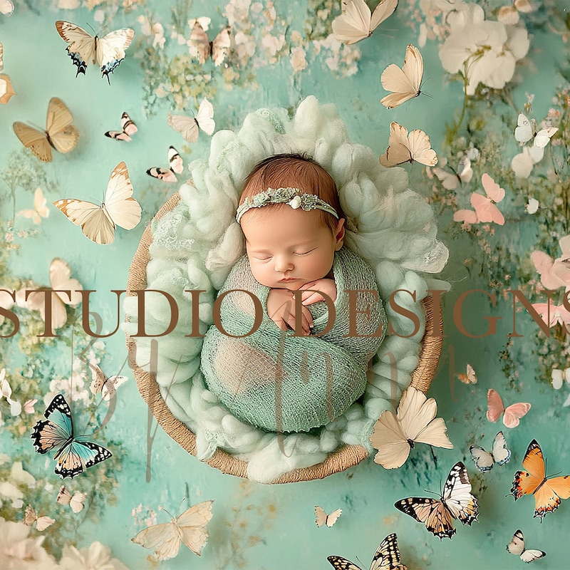 Newborn Butterfly Digital Backdrop - Etsy Canada