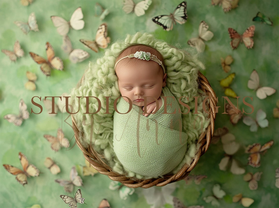Digital Backdrop Newborn Butterfly Wings Floral Basket,newborn Digital ...