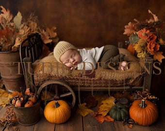Newborn Digital Background Autumn Halloween Pumpkins Fern Leaves - Etsy