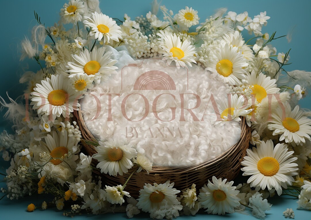Digital Backdrop Newborn Daisy Floral Basket, Newborn Digital Photo ...
