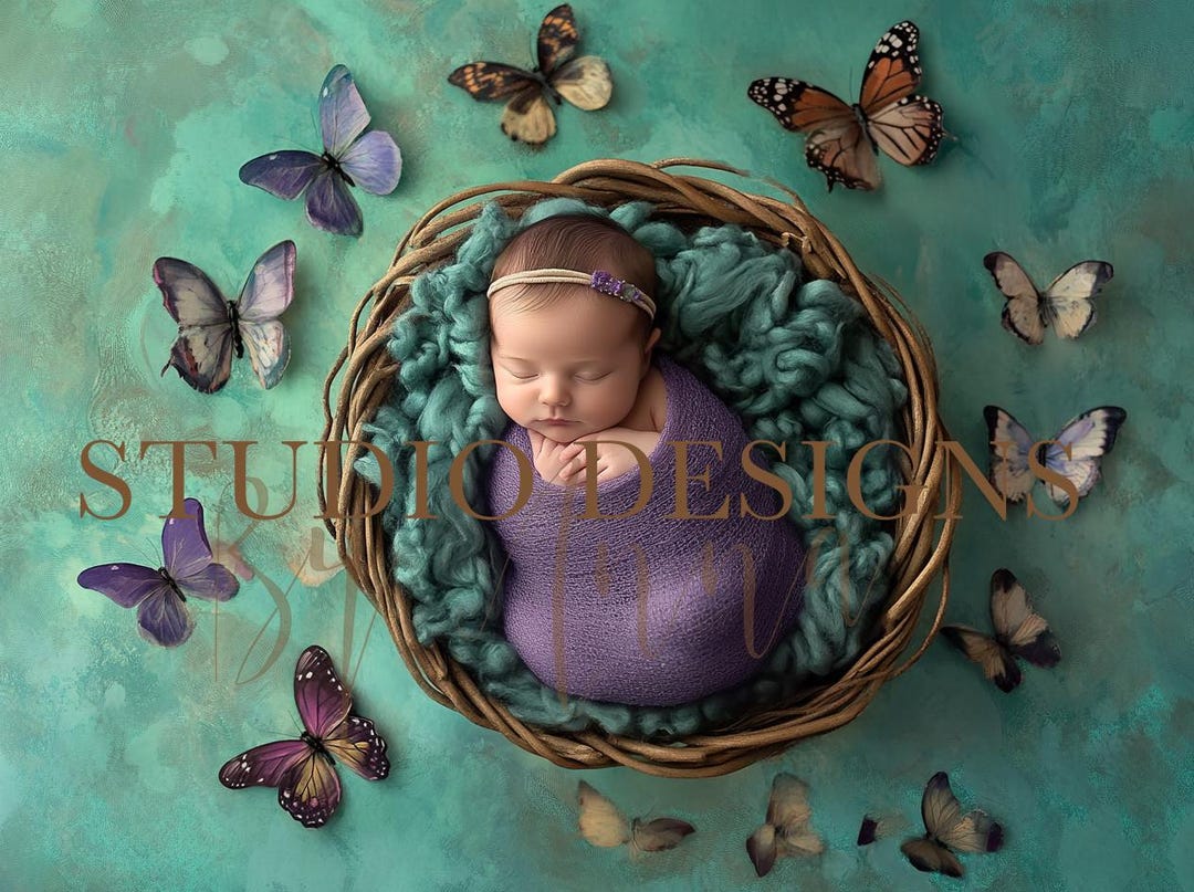Digital Backdrop Newborn Butterfly Wings Floral Basket,newborn Digital ...