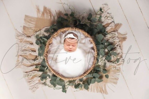 Boho Newborn Digital Background Simple Baby Digital - Etsy