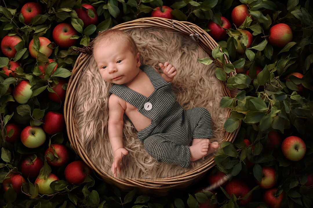 Digital Backdrop Newborn Basket, Apples Newborn Digital Photo Prop ...
