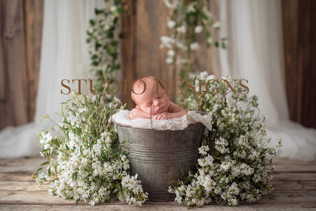 Digital Backdrop Newborn Floral Bucket, Newborn Photo Prop, Digital ...
