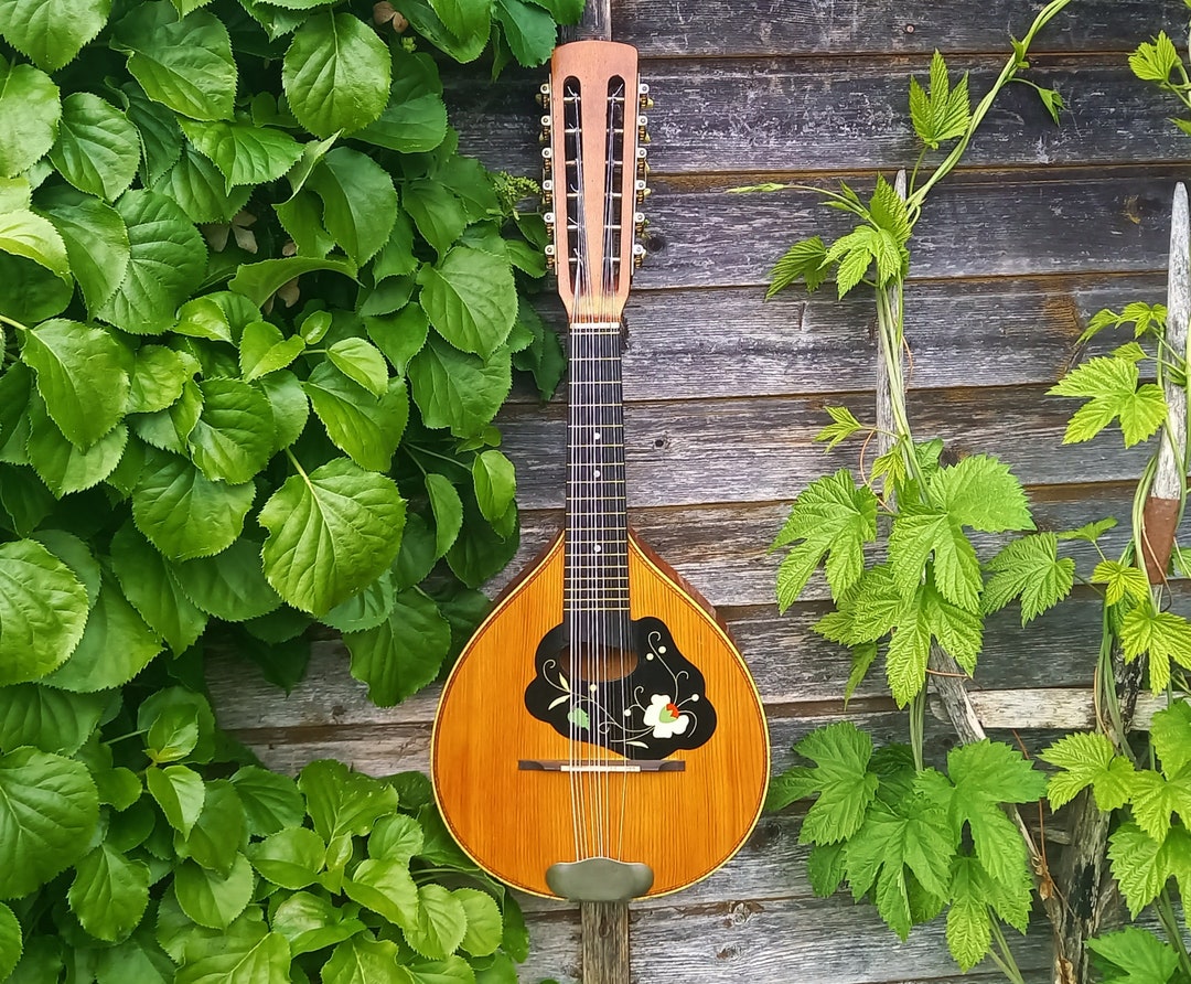 83. Mandola or Mandolin, 12 Strings, Vintage, Beautiful Old Instrument ...