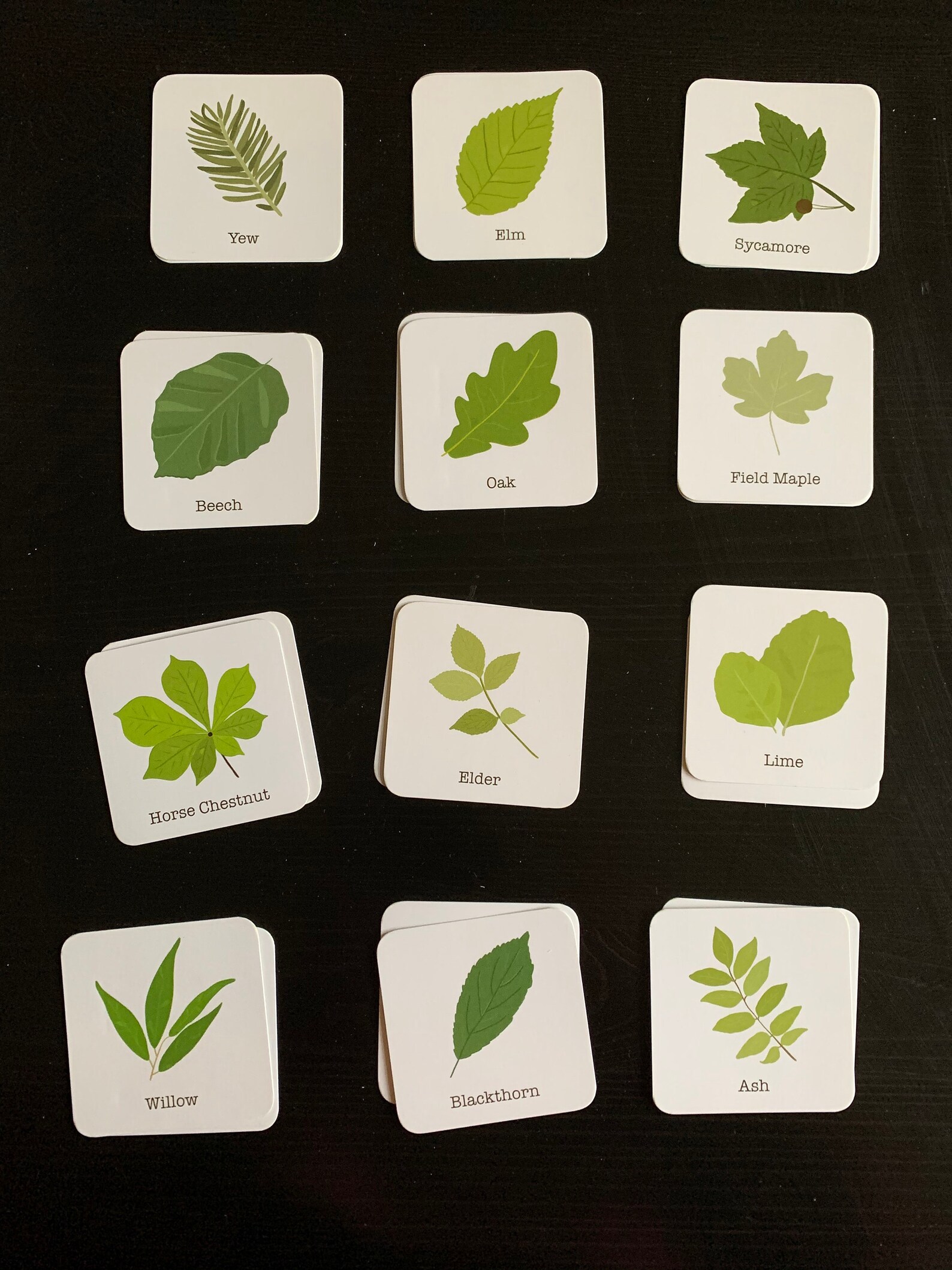 Leaf Matching Game Printable - prntbl.concejomunicipaldechinu.gov.co Leaf Matching Game Printable - prntbl.concejomunicipaldechinu.gov.co