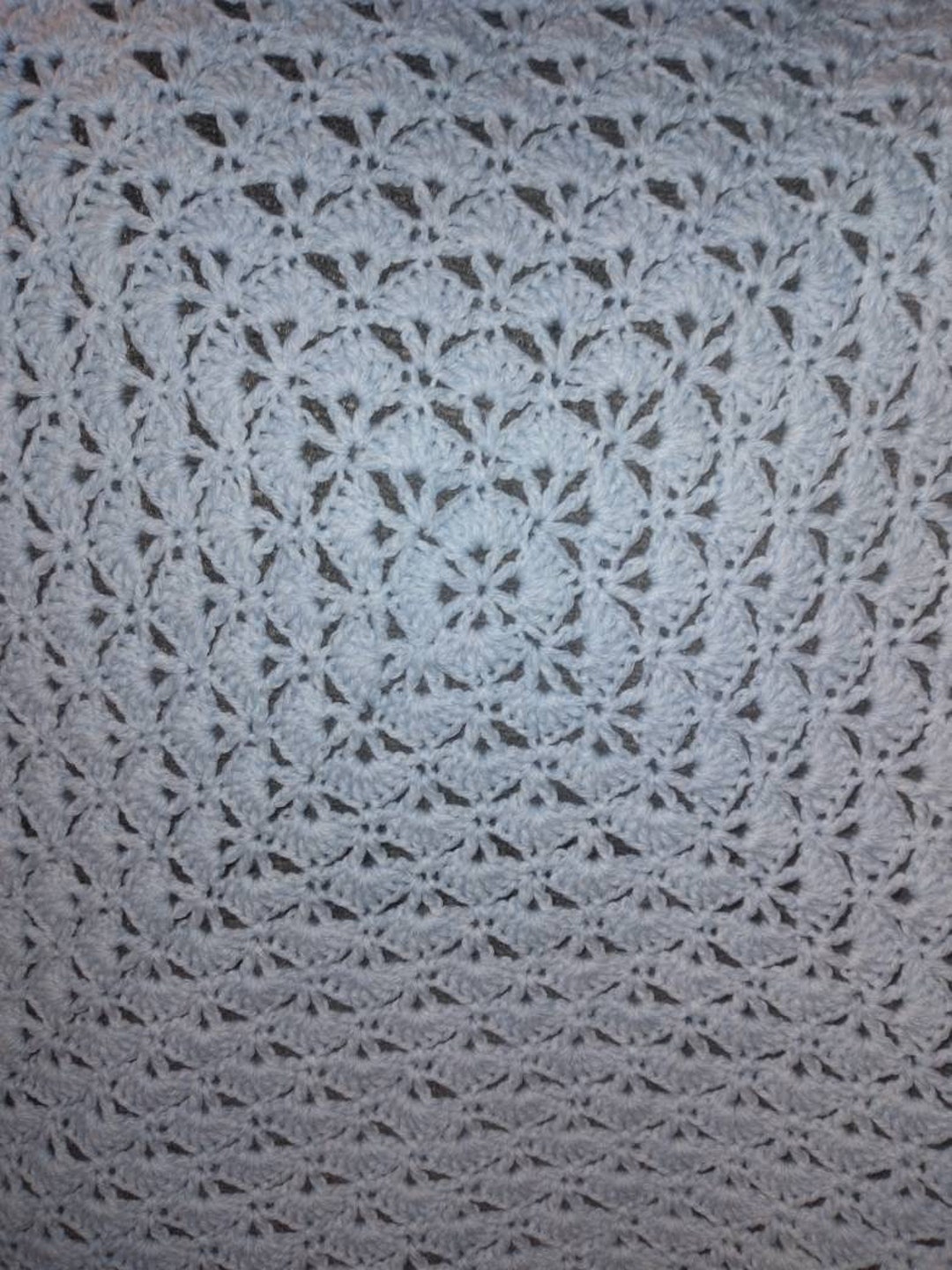 Blue Couquette Shells - Etsy