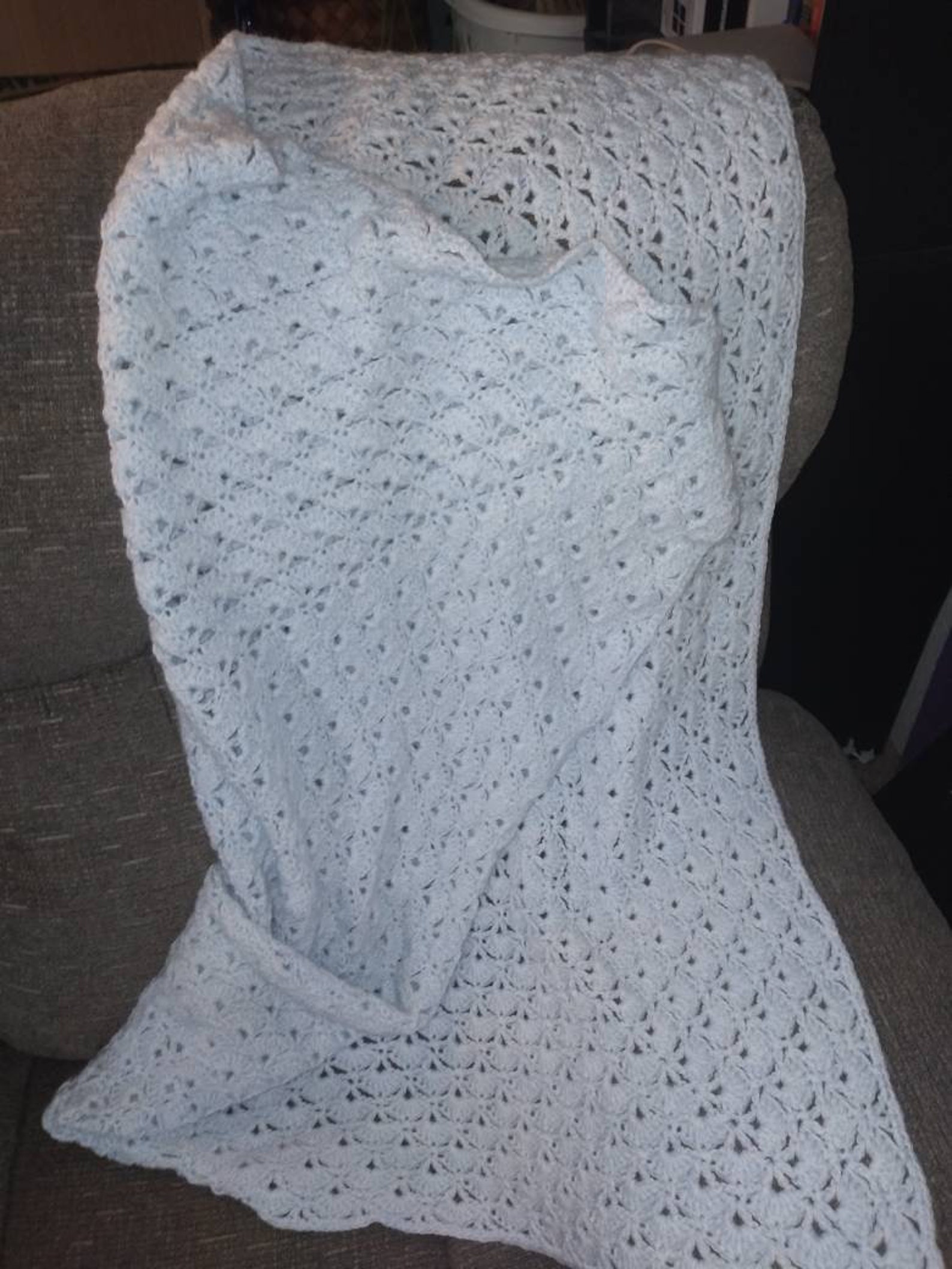 Blue Couquette Shells - Etsy