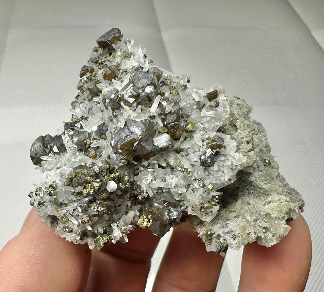 Incredible Sphalerite With Micro Crystals Chalcopyrite and Pyrite on ...