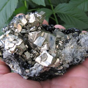 Nice Shiny Pyrite With Sphalerite and Quartz From the Famous 9th of ...