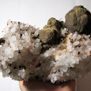 Top! Beautiful Oxidized Rhodochrosite on Quartz From the Famous 9th of ...