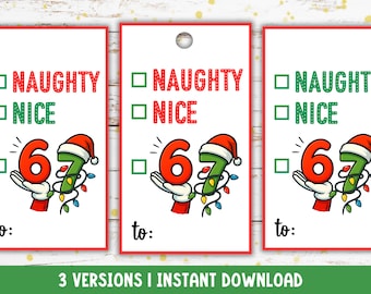 67 Christmas Printable Gift Tags, Funny Teen Holiday Gift Tags, 6 7 ...