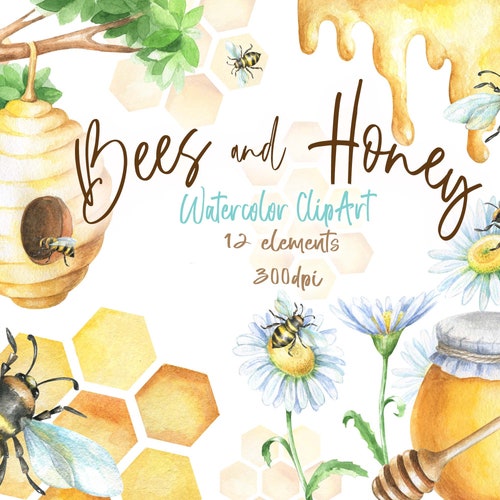 Watercolor Honey Bee Clipart Honeycomb Hand Painted Digital | Etsy